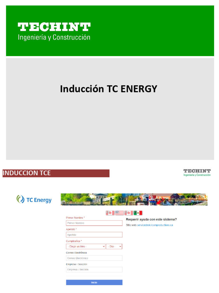 Guia para Induccion Tce | PDF