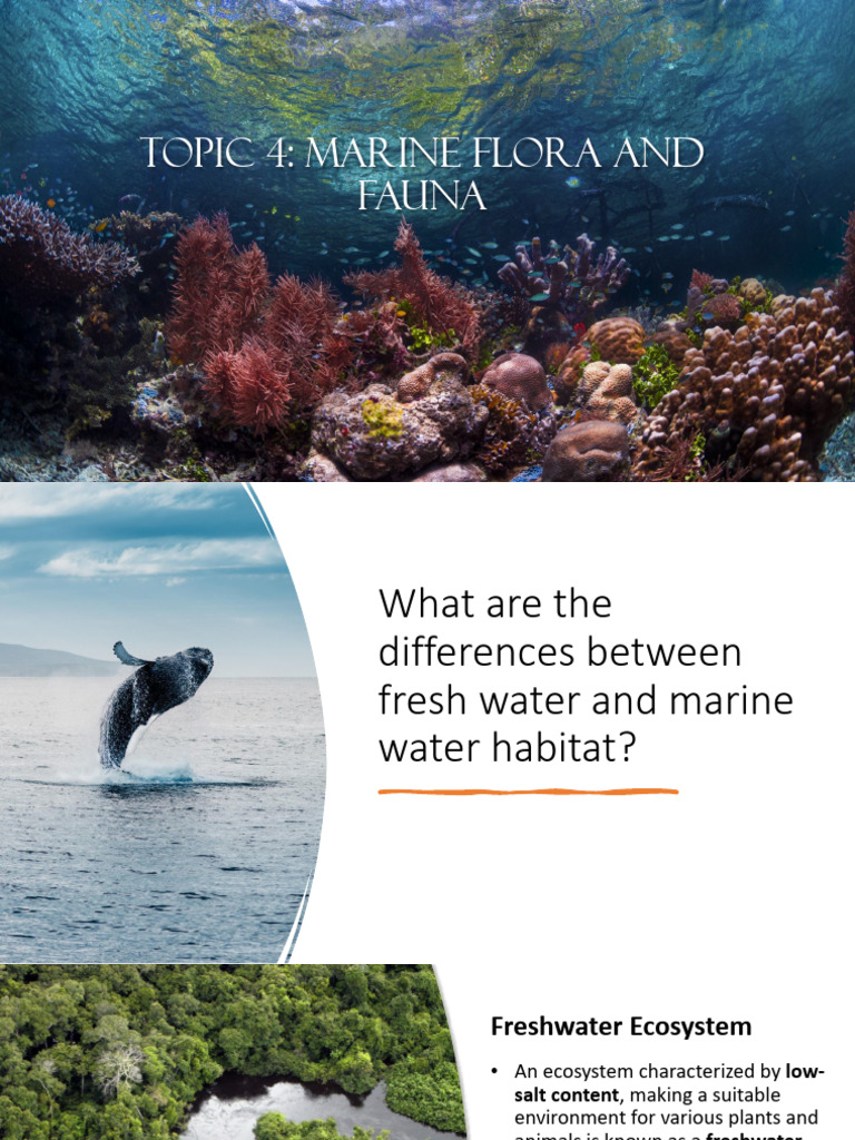 Topic 4-Marine Flora and Fauna | PDF | Fresh Water | Earth Sciences