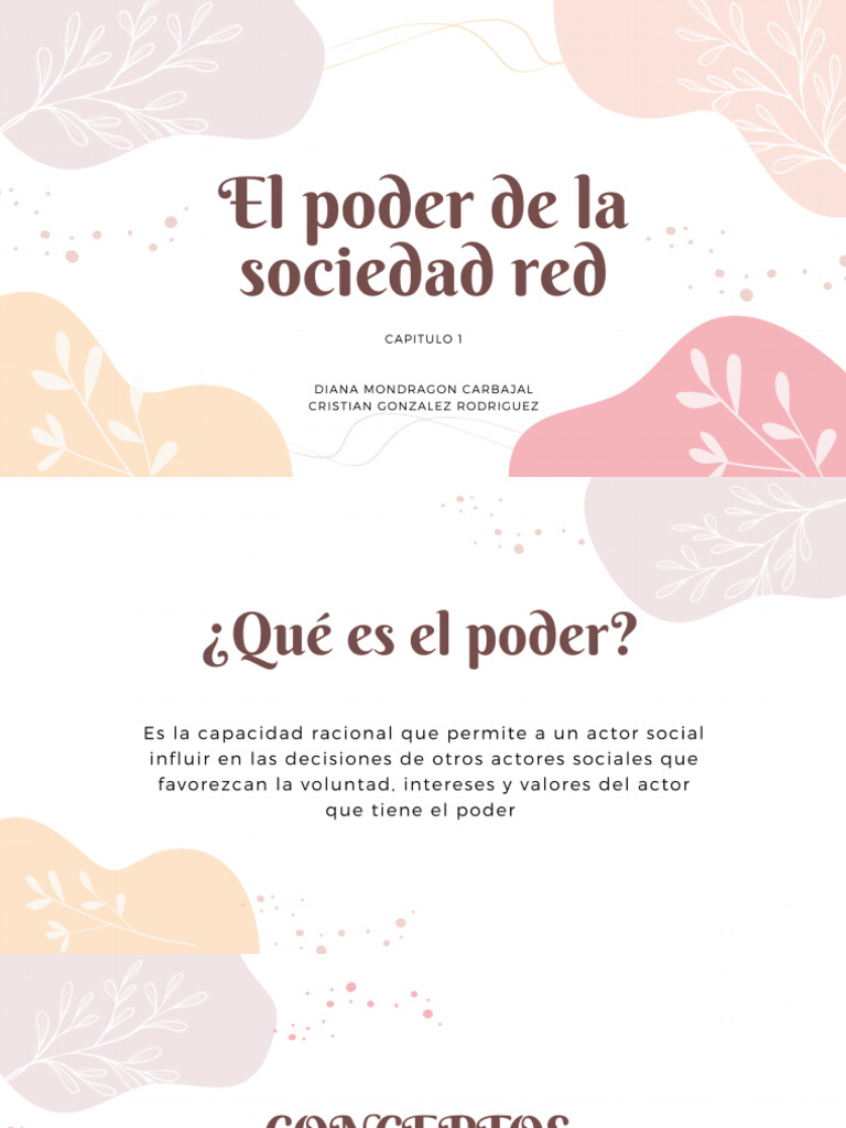 Presentacion Cap 1 | PDF