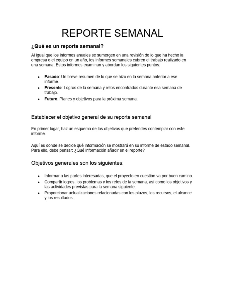 Formato Reporte Semanal | PDF