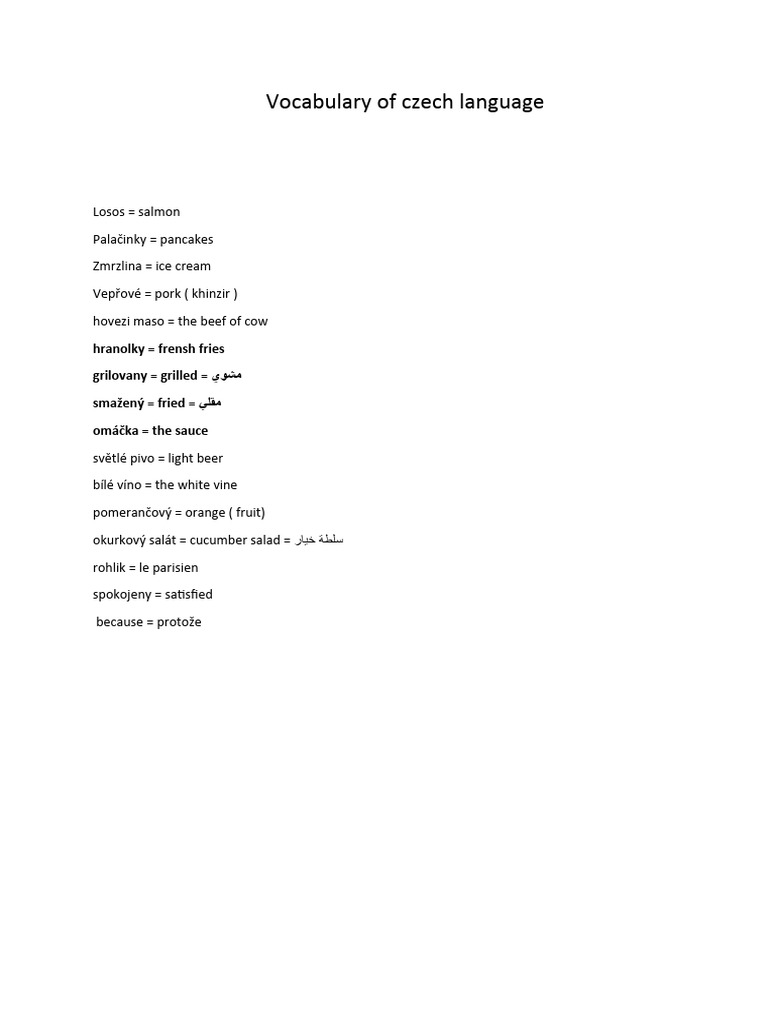 Vocabulary of Czech Language | PDF