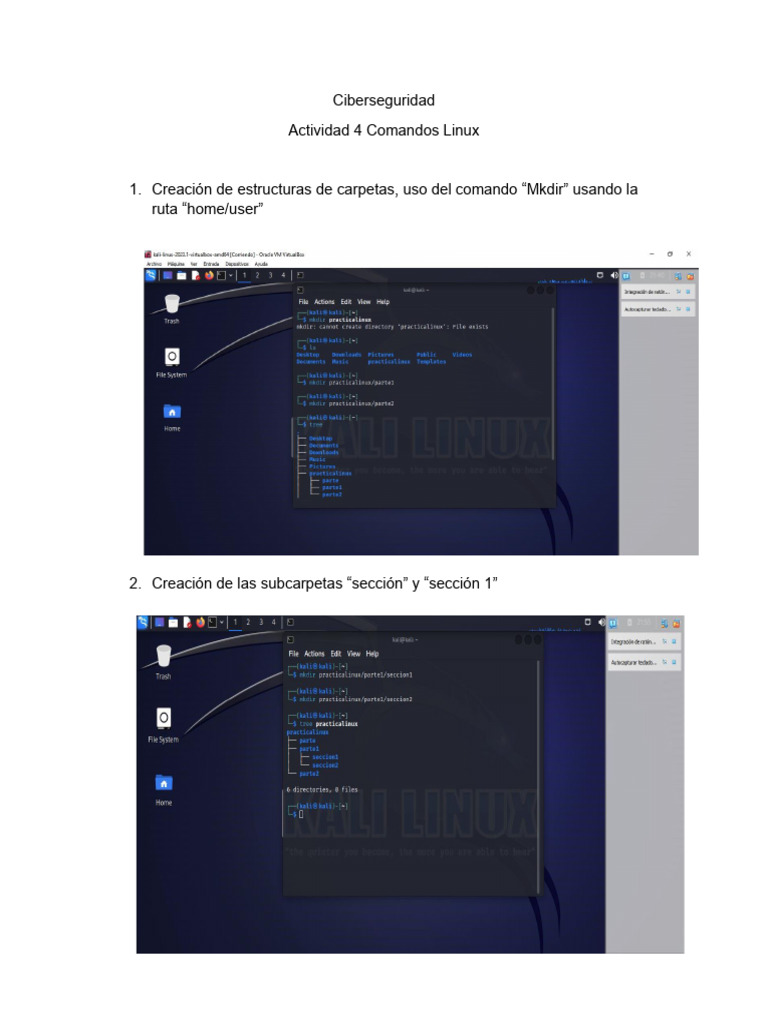 Actividad 4 Comandos de Linux | PDF