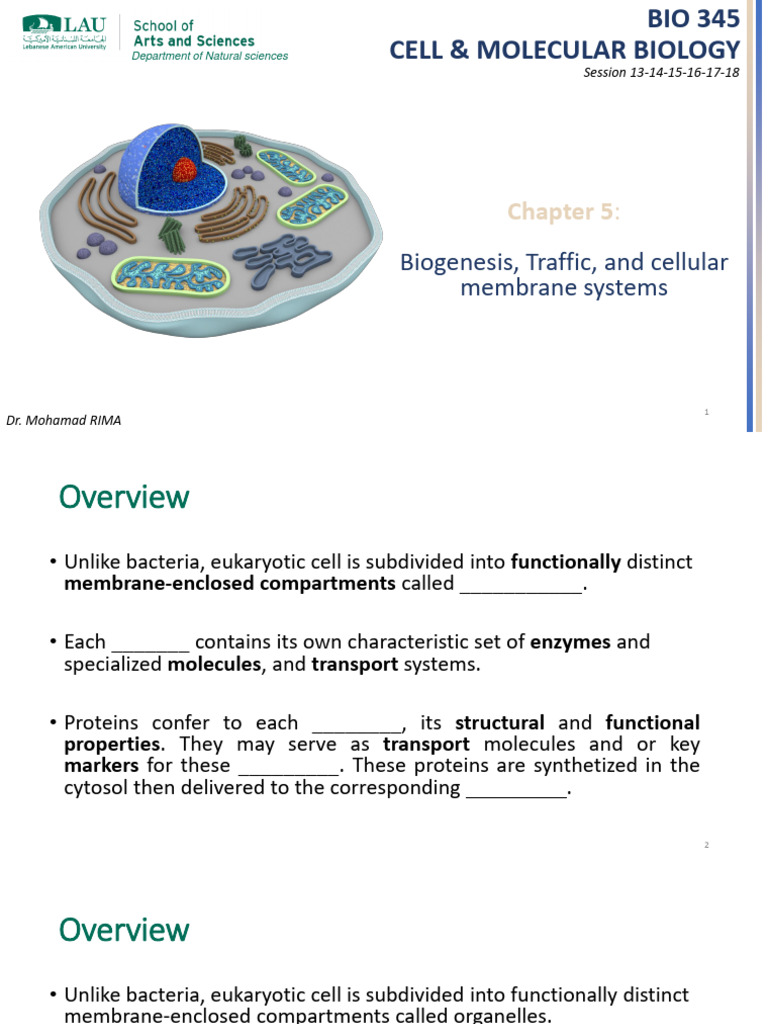 BIO 345 S13 Continuity S14 (Chapter 5) S15 S16 S17 S18 | PDF ...