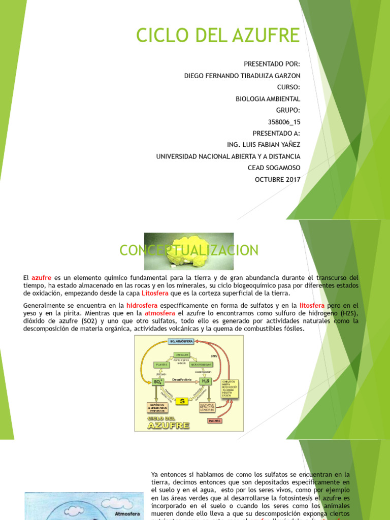 Ciclo Del Azufre | PDF | Azufre | Dióxido de azufre