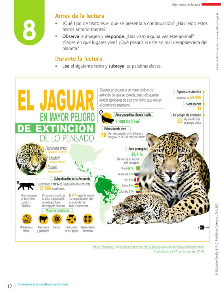 CyT N 8 - SEXTO PRIMARIA | PDF