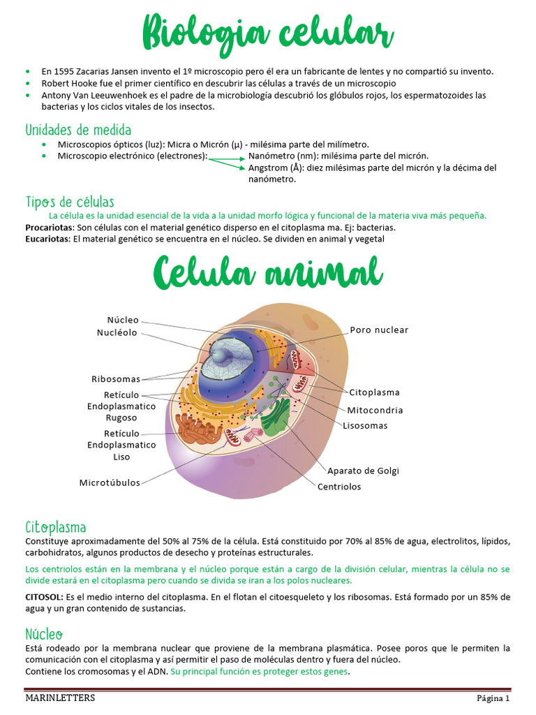 02 Biologia Celular | PDF | Citoplasma | Nucleo celular