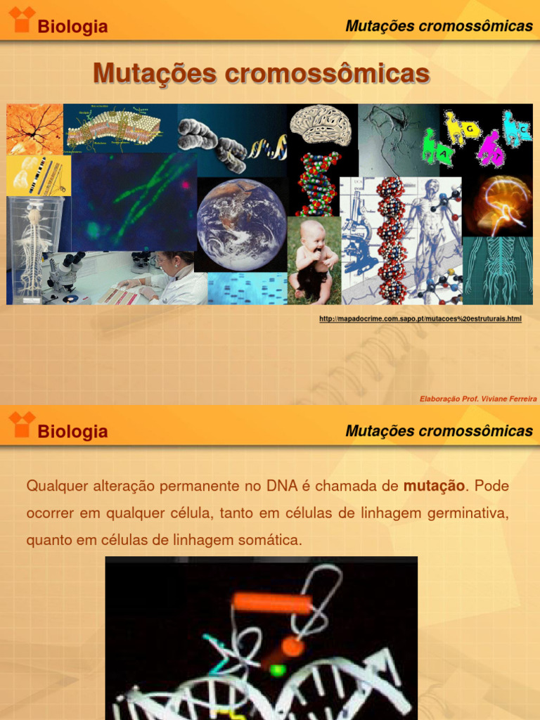 Mutações Cromossômicas Pdf Pdf Cromossomo Cariótipo