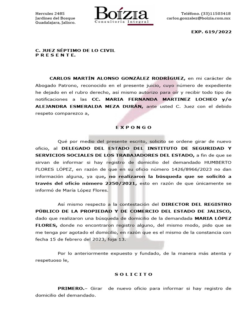 Promocion Solicitar Oficio Al Issste 619 2022 Judith Colon | PDF
