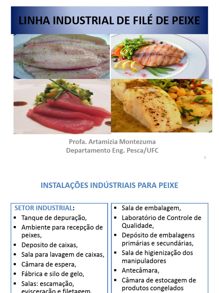 Filetagem de Peixe 1 | PDF | Peixes | Geladeira