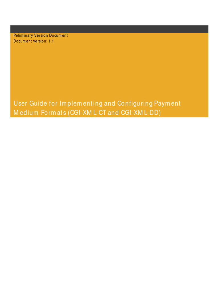 Payment Formats - User Guide 1.1 | PDF | Payments | Accounts Payable