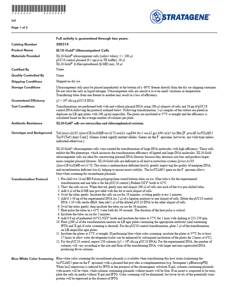 XL10-Gold Ultracompetent Cells-Stratagene | PDF | Transformation ...
