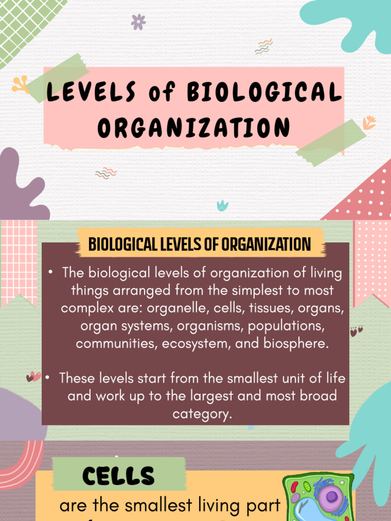 Biological Levels of Organization | PDF