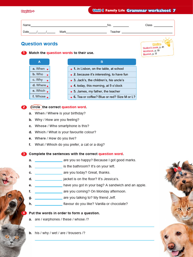 Gramática 7 | PDF