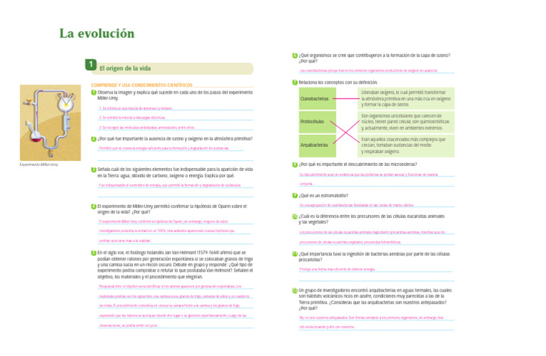 A 4º Sol Prac Act 1 Cyt Und 7 | PDF | Oxígeno | Ciencias fisicas