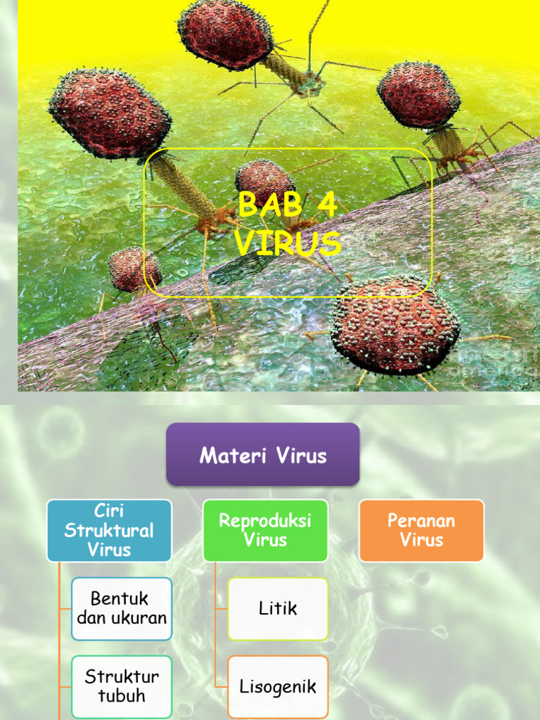 Bab 4 Virus | PDF