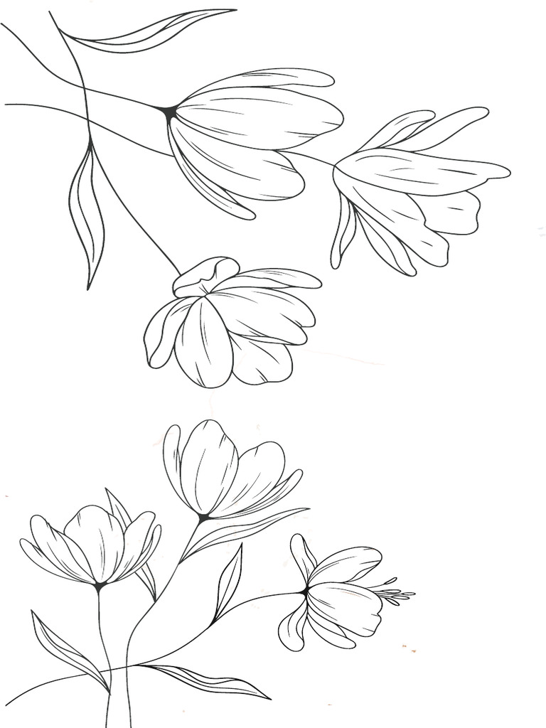 Flores Ssssss Sssssssss Sssssssss Sssssssss | PDF