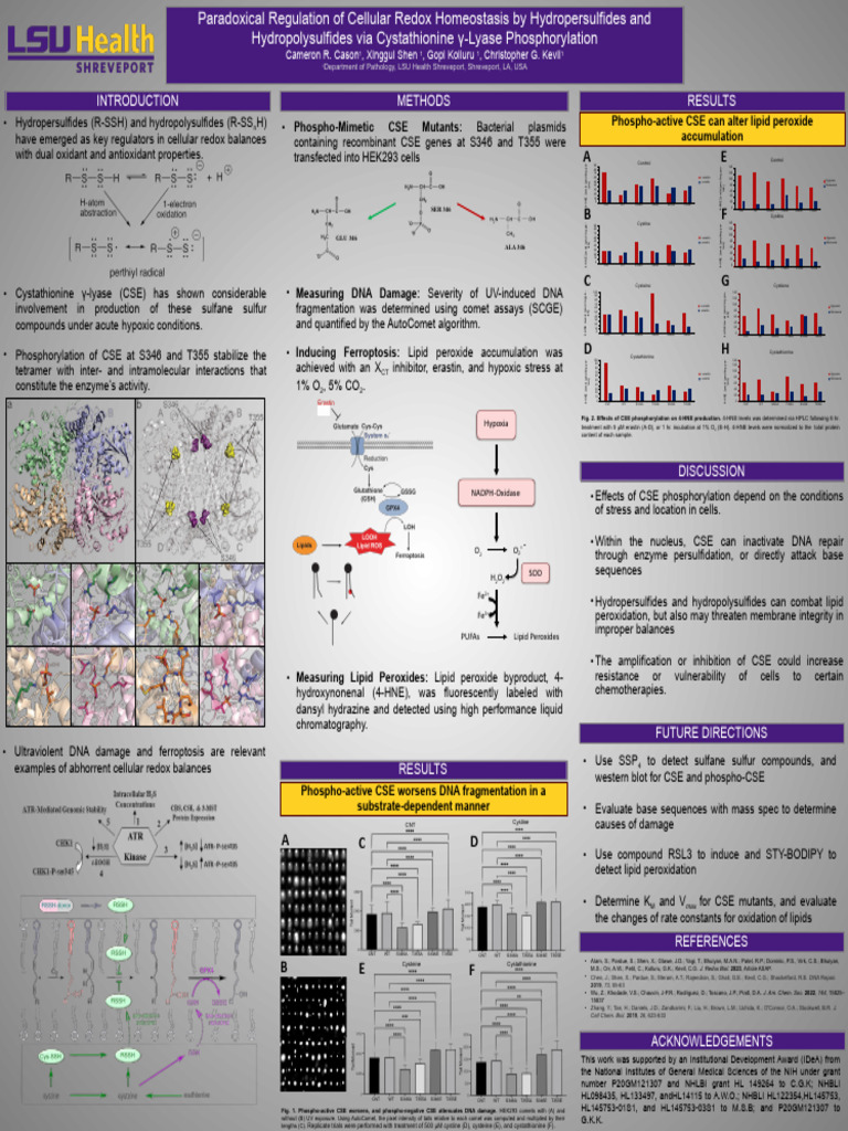 Braid Poster | PDF | Biotechnology | Molecular Biology