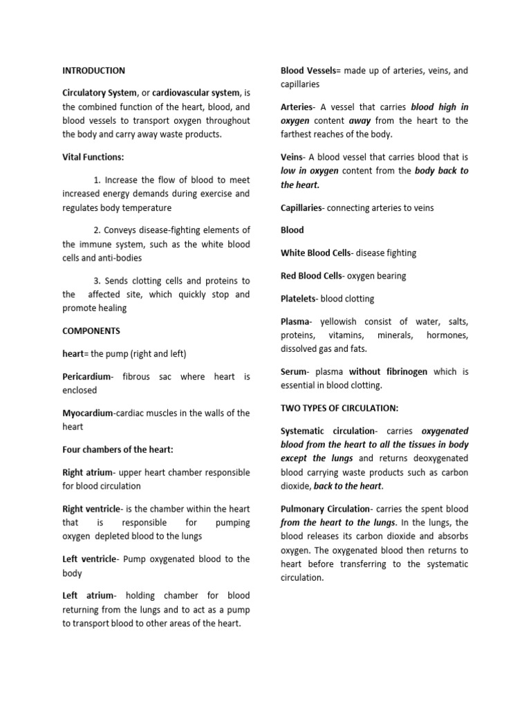 Circulatory System Pdf Blood Heart