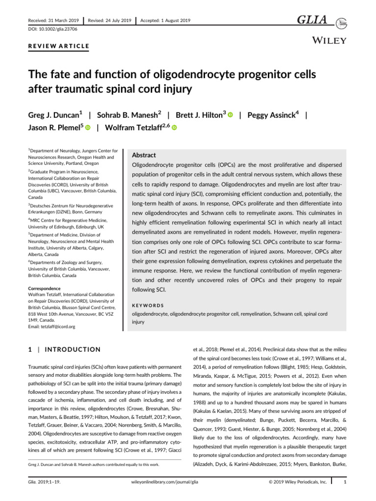 2020 - The Fate and Function of Oligodendrocyte Progenitor Cells After ...