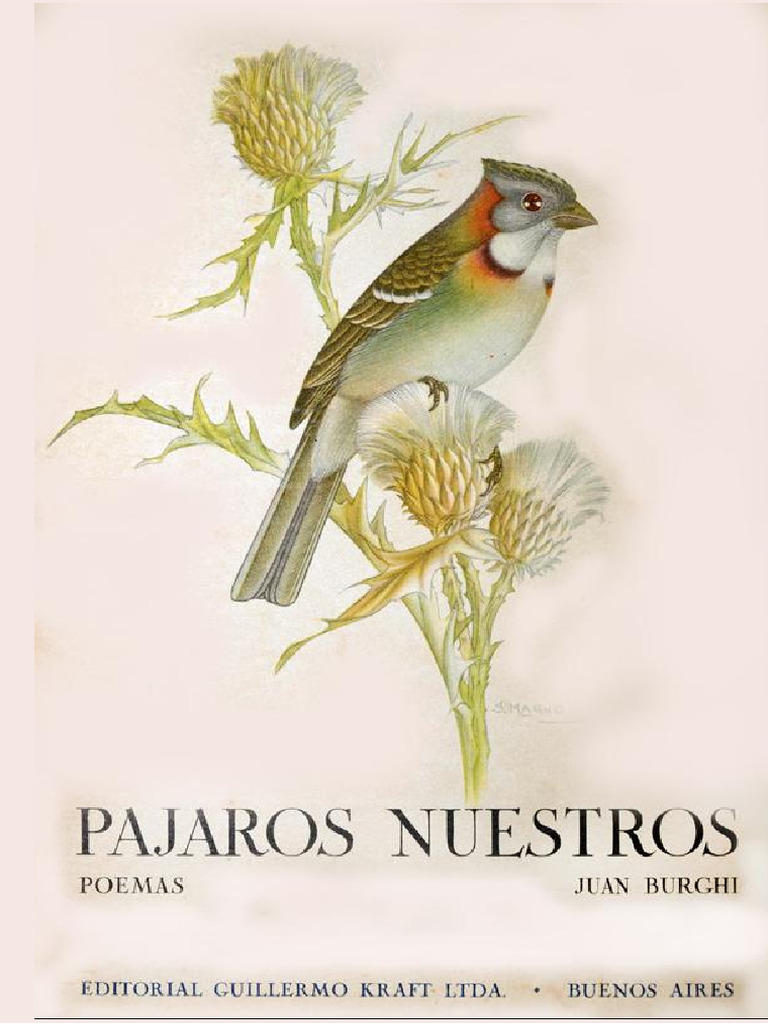 Nuestros Pájaros-Juan Burghi | PDF | Aves | Ornitología