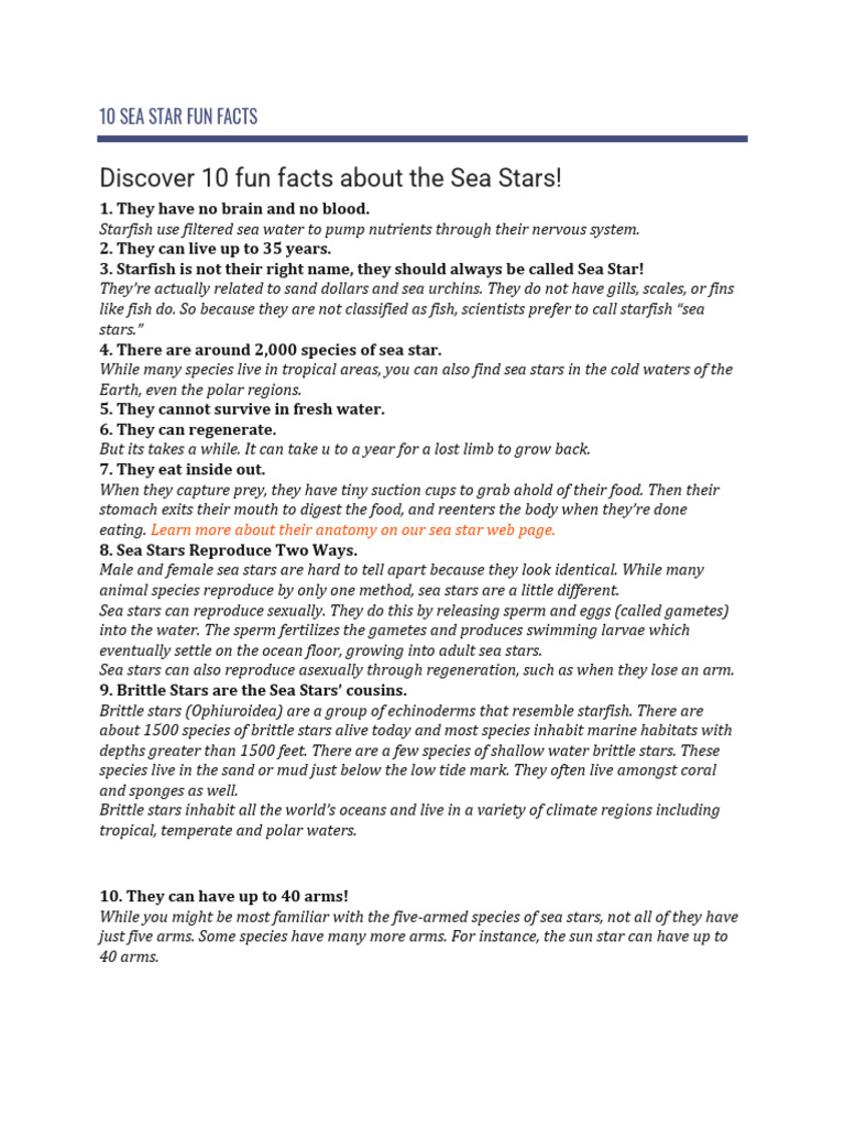 10 Fun Facts About Sea Stars | PDF | Social Science | Home & Garden
