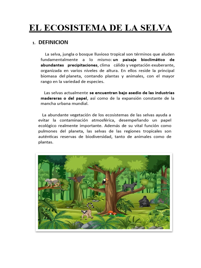El Ecosistema de La Selva | PDF | Selva | Selva amazónica