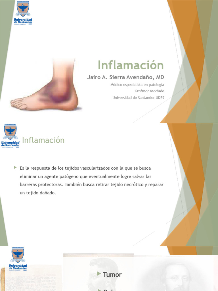 Inflamación Aguda y Crónica | PDF