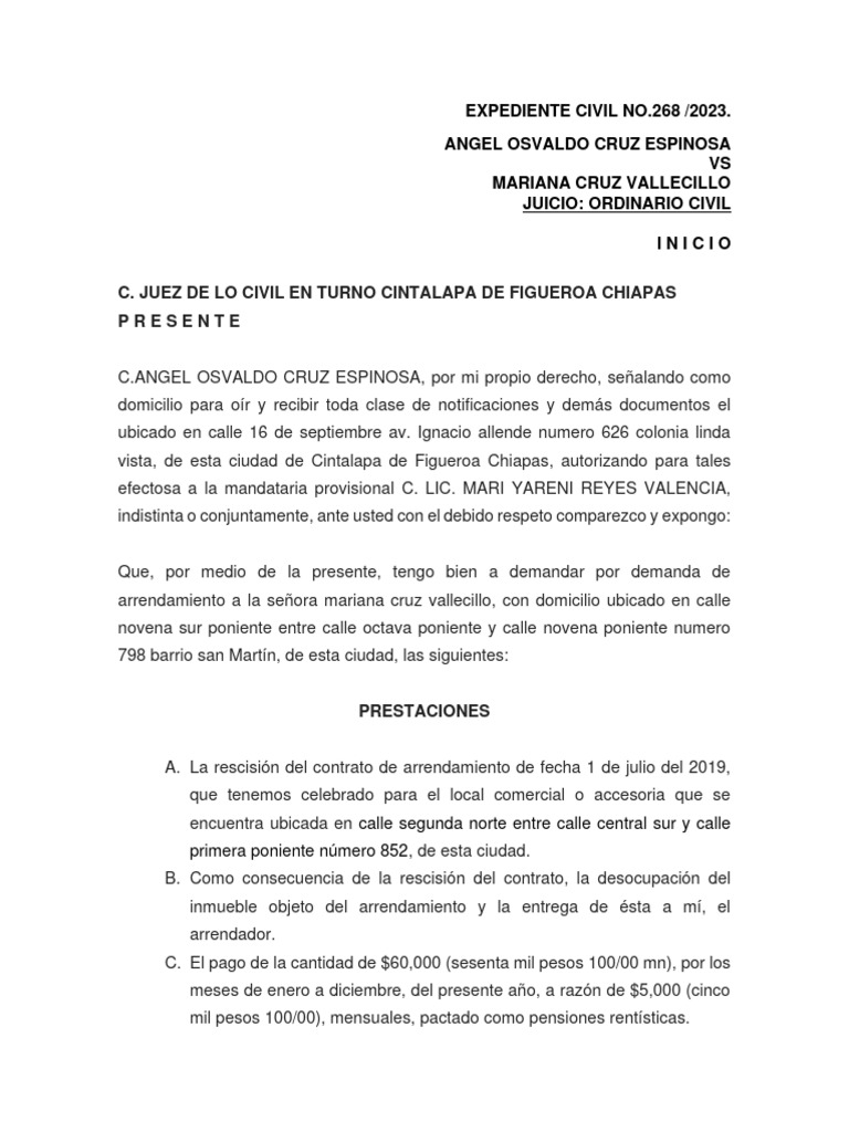 Demanda Final | PDF | Demanda judicial | Ley común