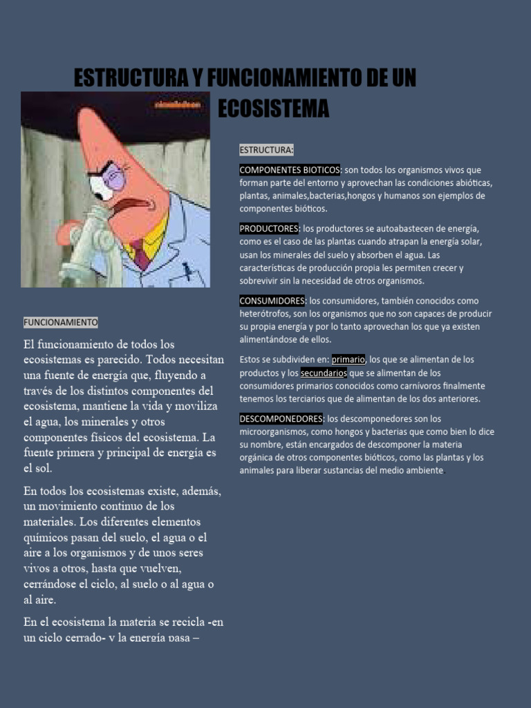 Estructura y Funcionamiento de Un Ecosistema | Descargar gratis PDF | Ecosistema | Suelo