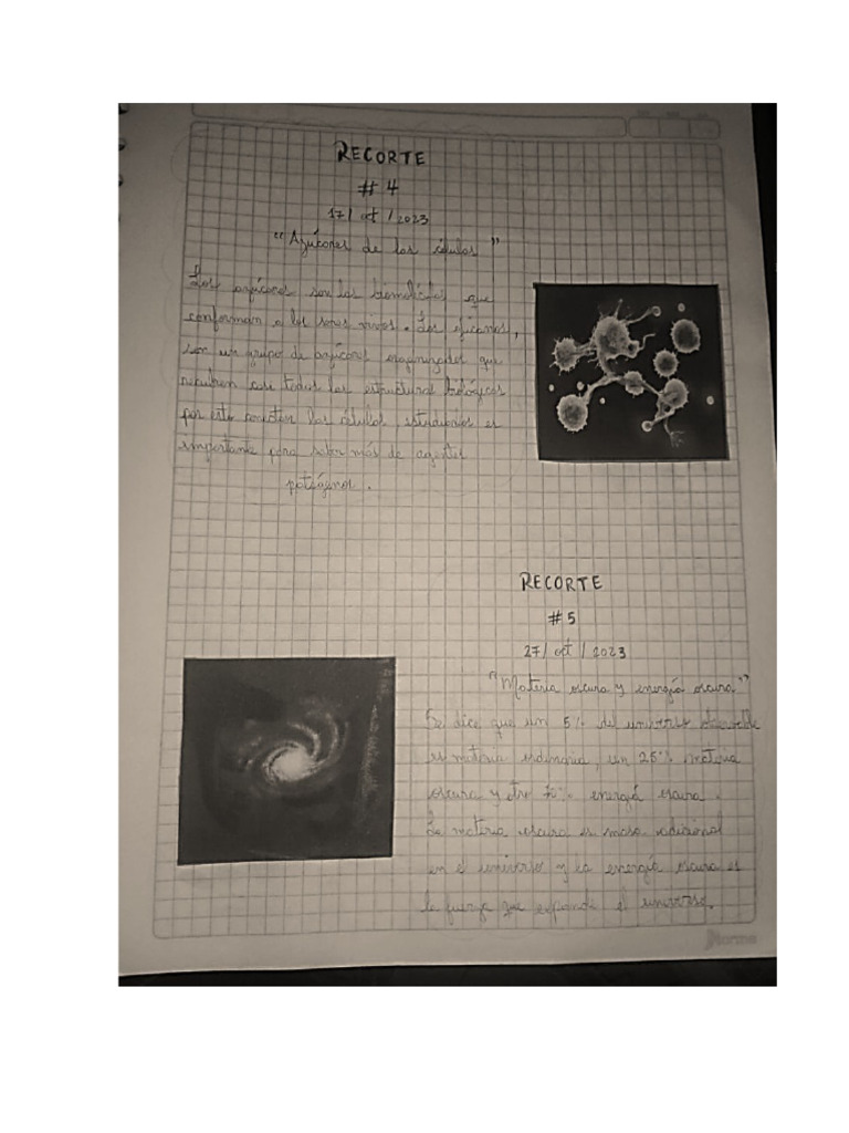 Carpeta Cientifica | PDF