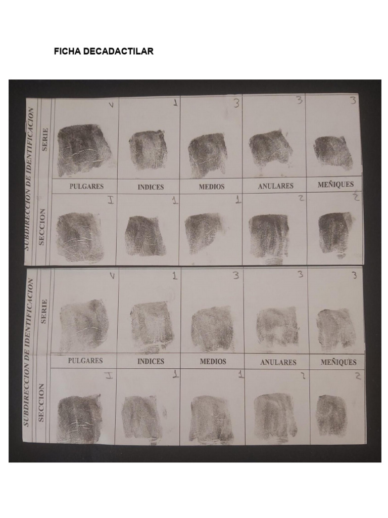 Trabajo Ficha Biométrica | PDF