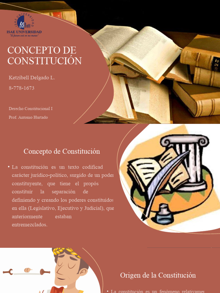 Concepto de Constitución | PDF