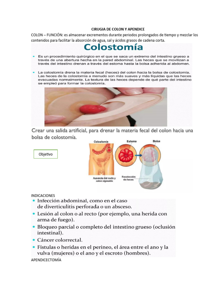 Cirugia de Colon y Apendice | PDF | Intestino delgado | Anatomía
