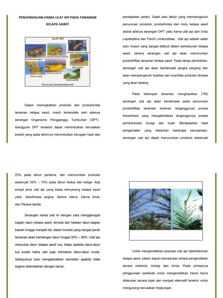 Bukleet Ulat Api | PDF