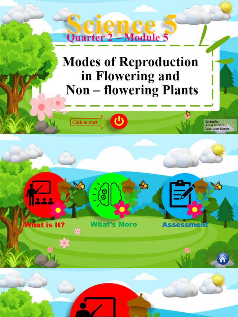 Plant Reproduction: Flowering vs Non-Flowering | PDF | Flowers | Sexual ...