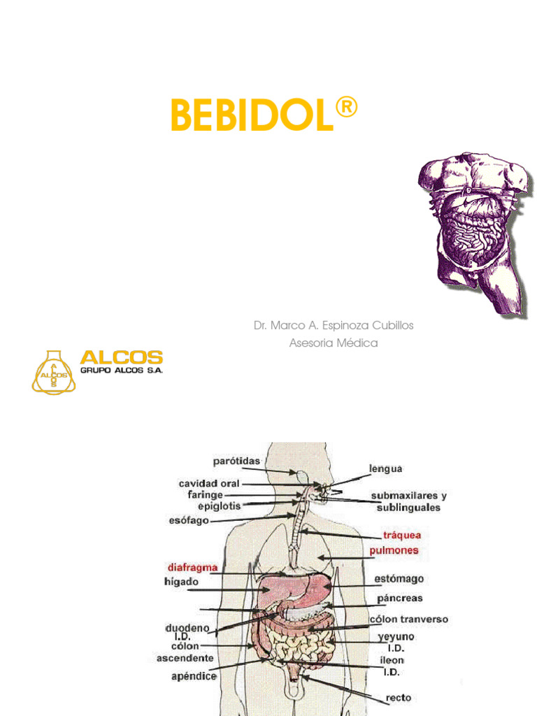 BEBIDOL® | PDF | Digestión | Tracto gastrointestinal