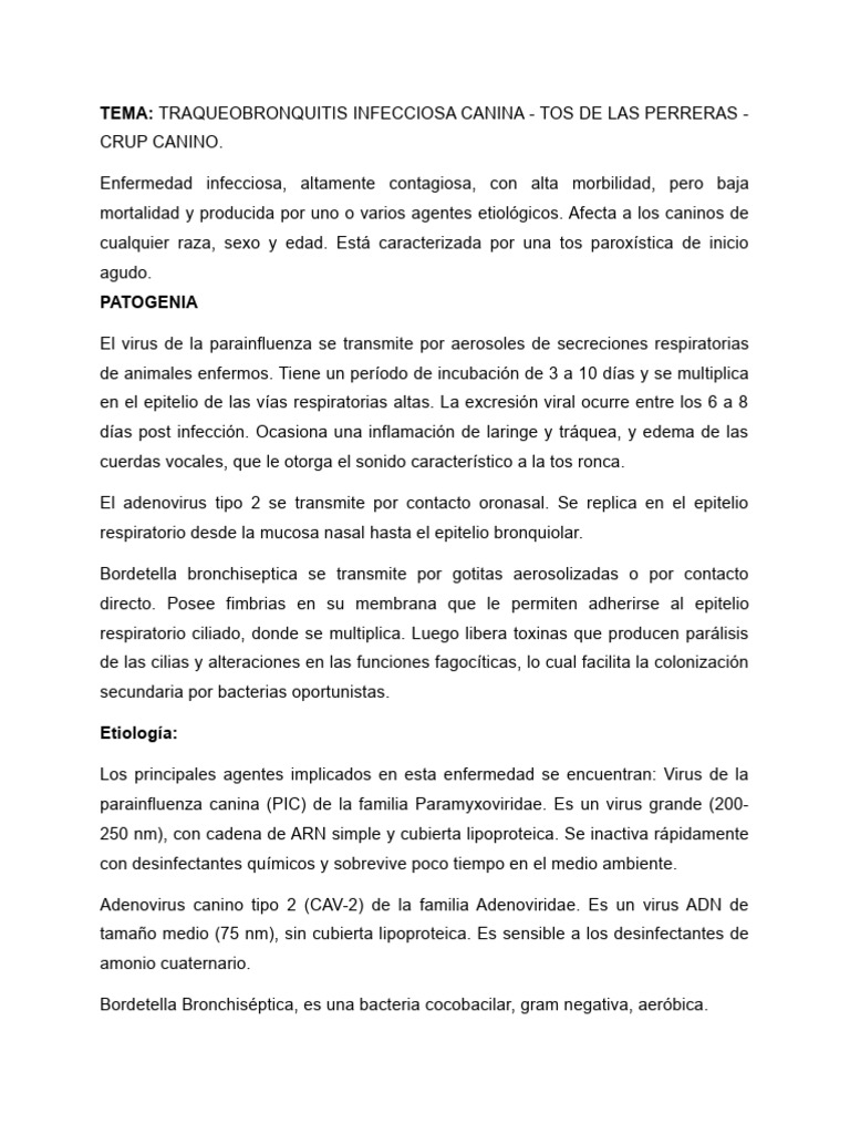 Traqueobronquitis Canina: Causas y Tratamiento | PDF | Tos | Virus
