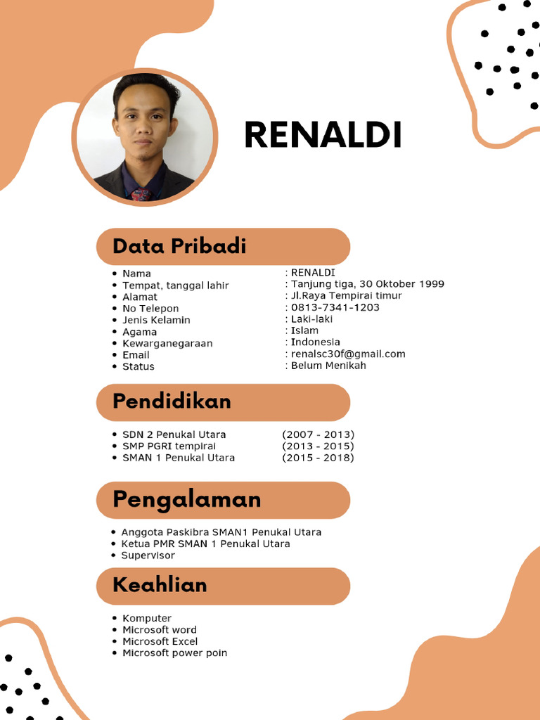 CV Renaldi | PDF