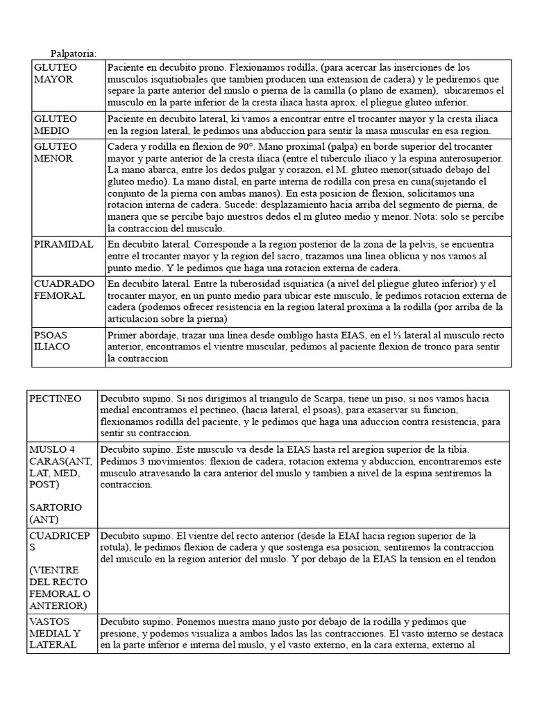 Palpatoria de Muscular Miembro Inferior (Sacado de Videos) . | PDF ...