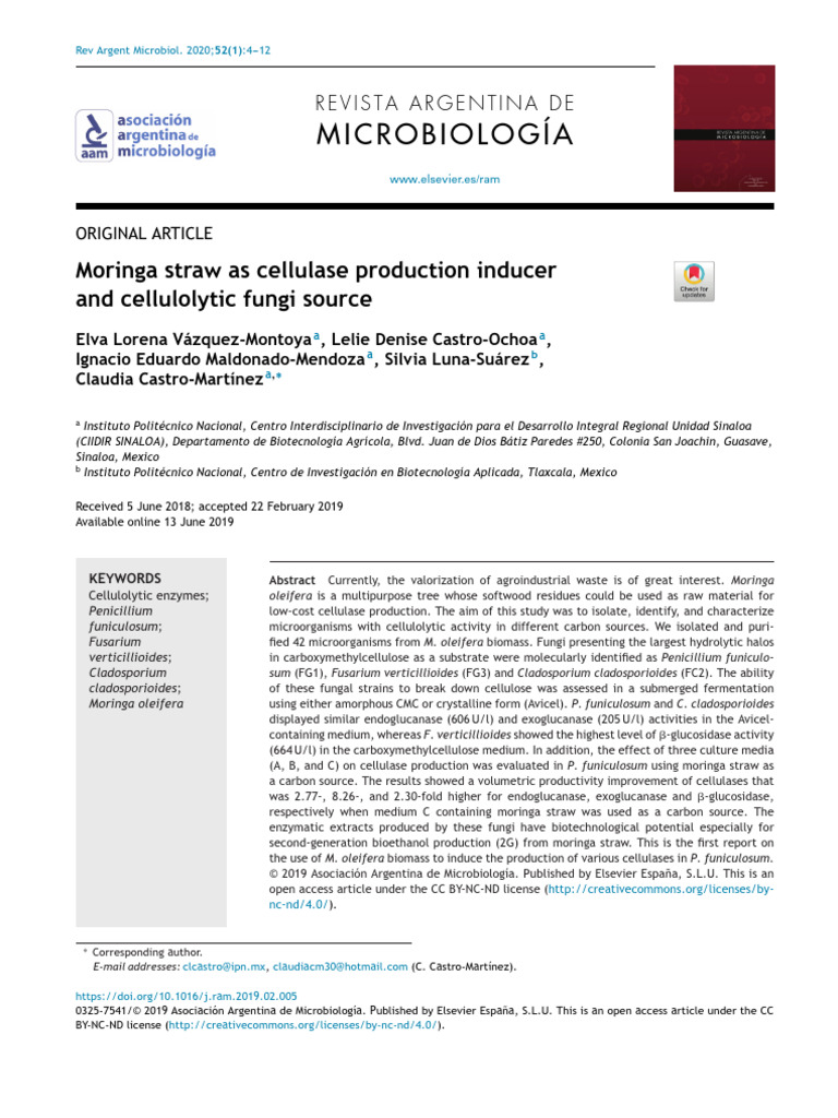 Articulo Ingles | PDF | Cellulose | Biofuel