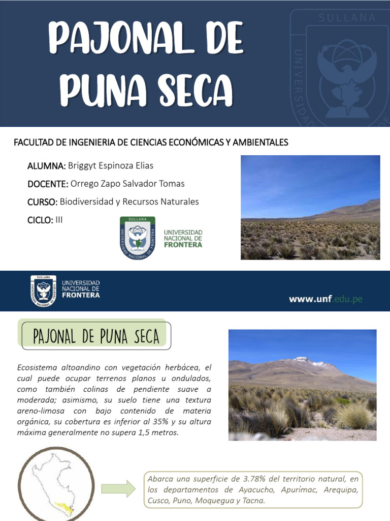 Pajonal de Puna Seca-Briggyt Espinoza Elias | PDF | Organismos