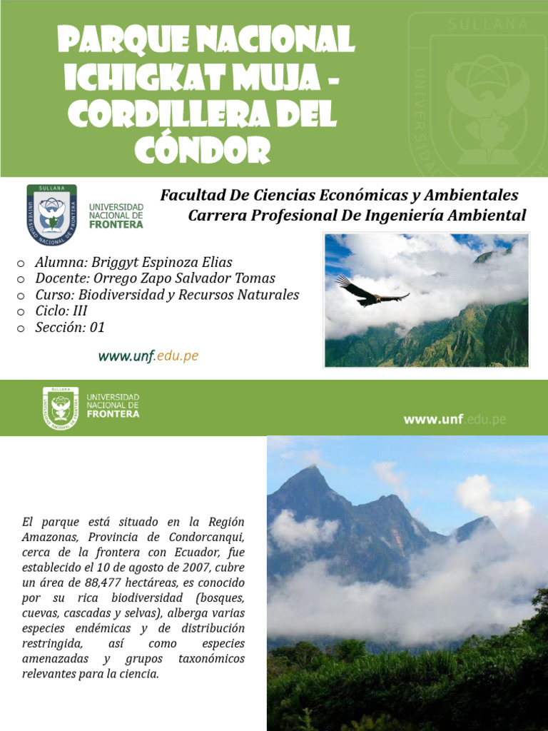 Parque Nacional Ichigkat Muja - Cordillera Del Cóndor | PDF ...