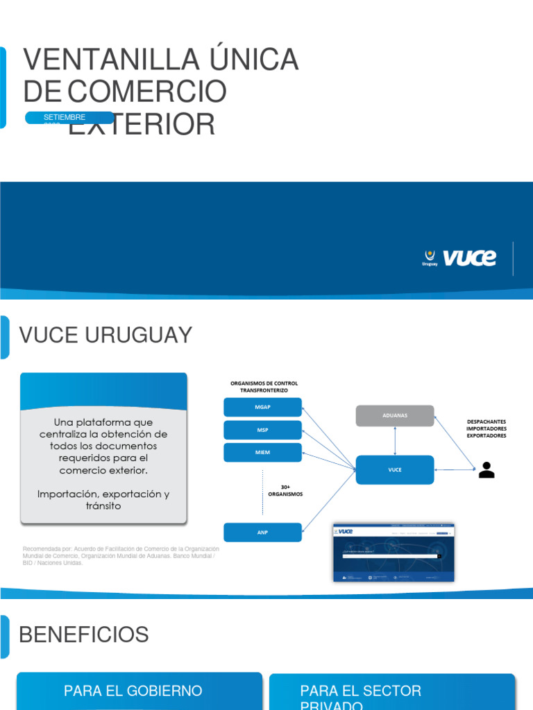 Vuce | PDF | aduana | Gobierno E