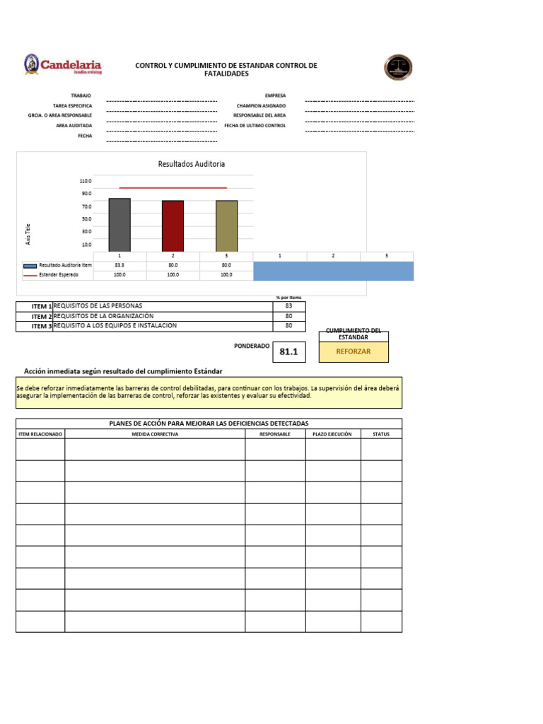 Pauta Auditoría Estandar Control de Acuñadura | PDF | Auditoría