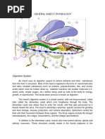 Insect Morphology | PDF | Insects | Animal Anatomy