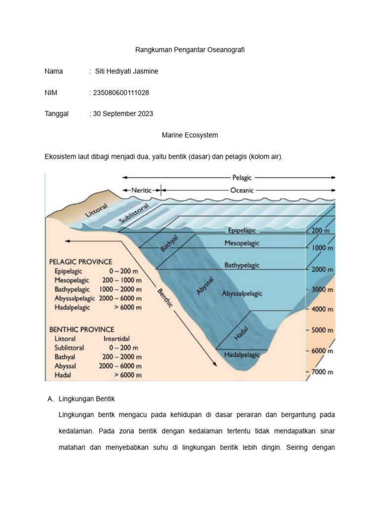 Ekosistem Laut: Bentik dan Pelagis | PDF