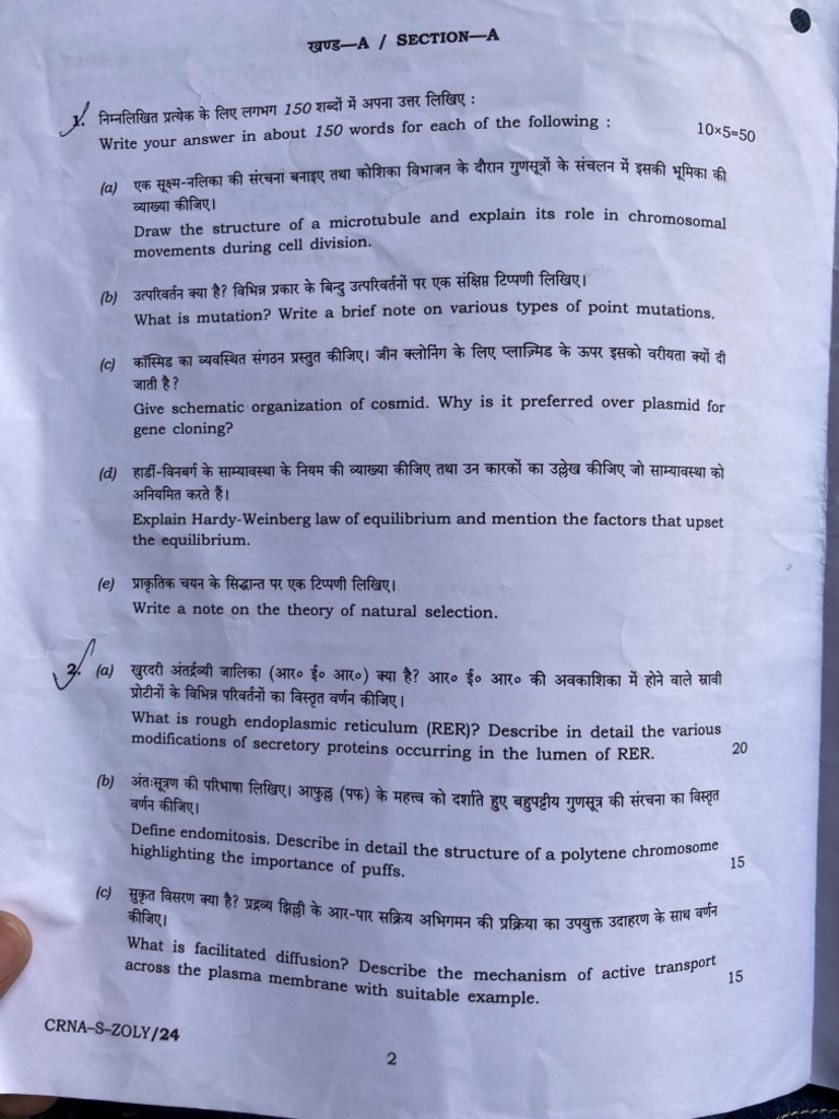 2022 - Paper 2 | PDF