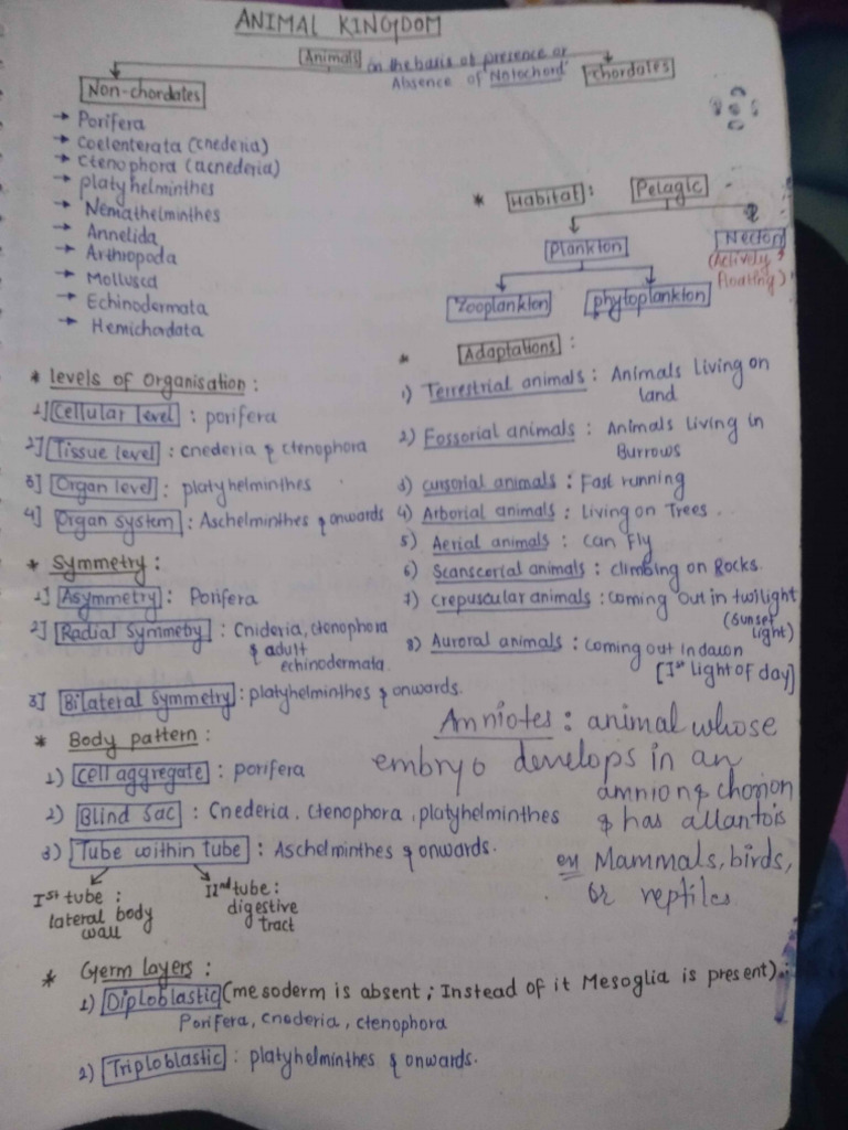 Animal Kingdom Hand Written Notes | PDF