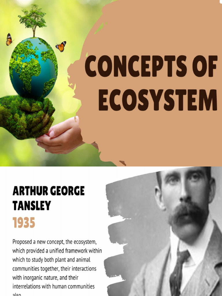 Ecosystem Report | PDF