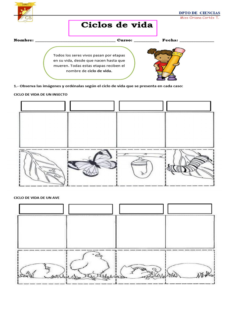 Guía Ciclos de Vida 2° Básico | PDF | Ciencias sociales